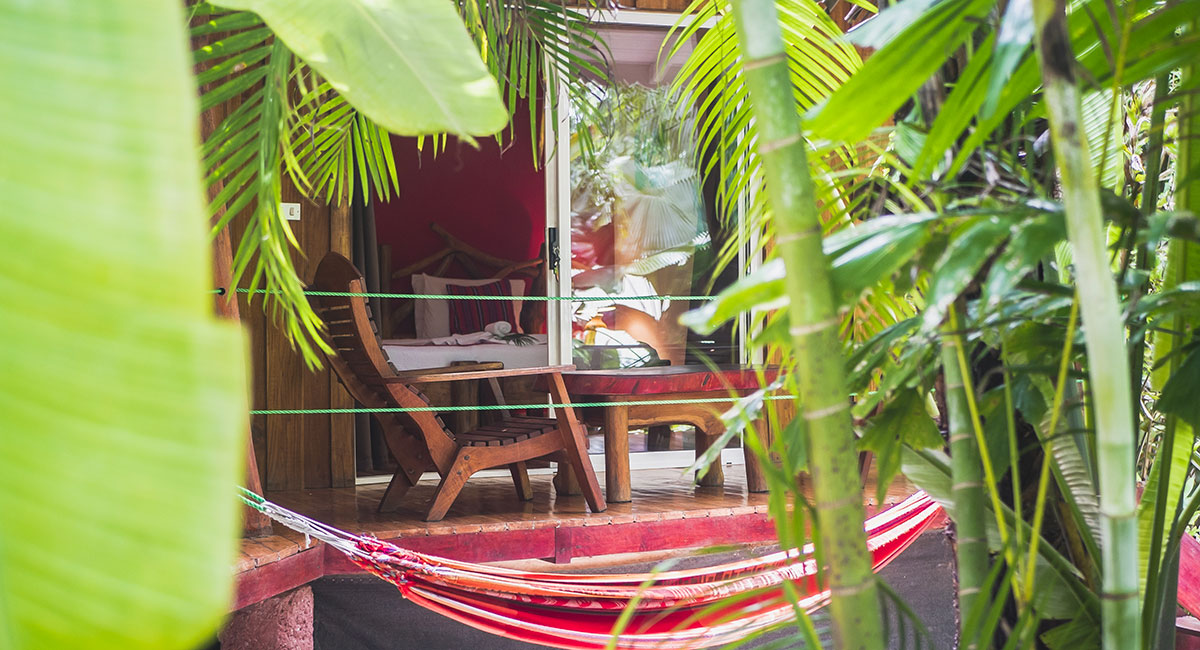 Chambre COCO 2 pers. - El Pequeño Gecko Verde